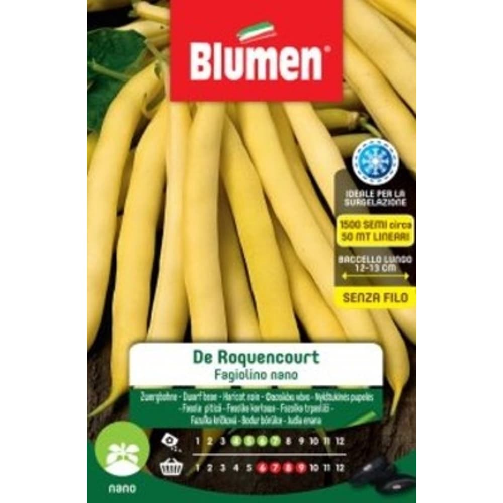 Blumen · Buschbohne DE ROQUENCOURT • Migros