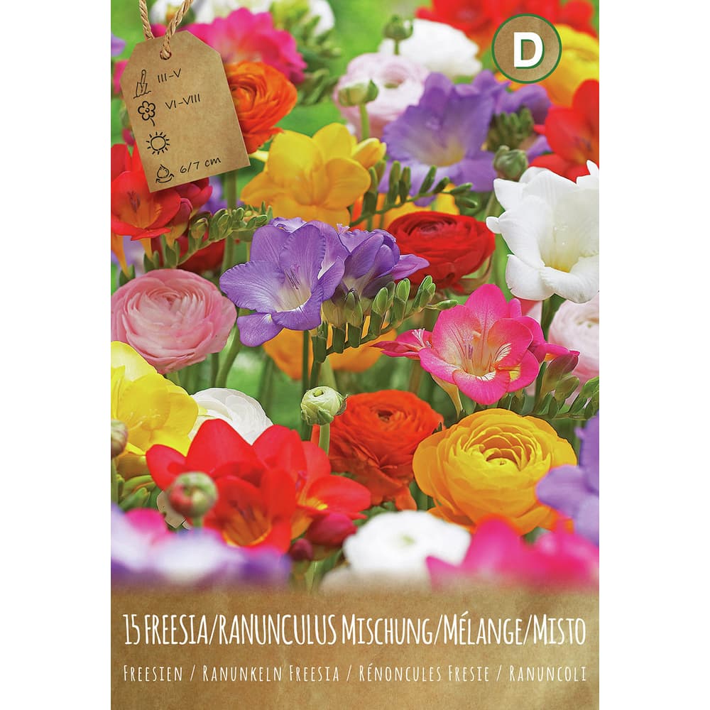 Do it + Garden FM · Freesia/Ranunculus • Migros