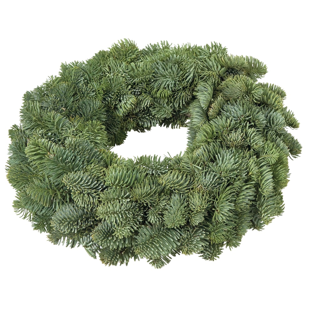 Nobilis Wreath · 25 cm • Migros Online