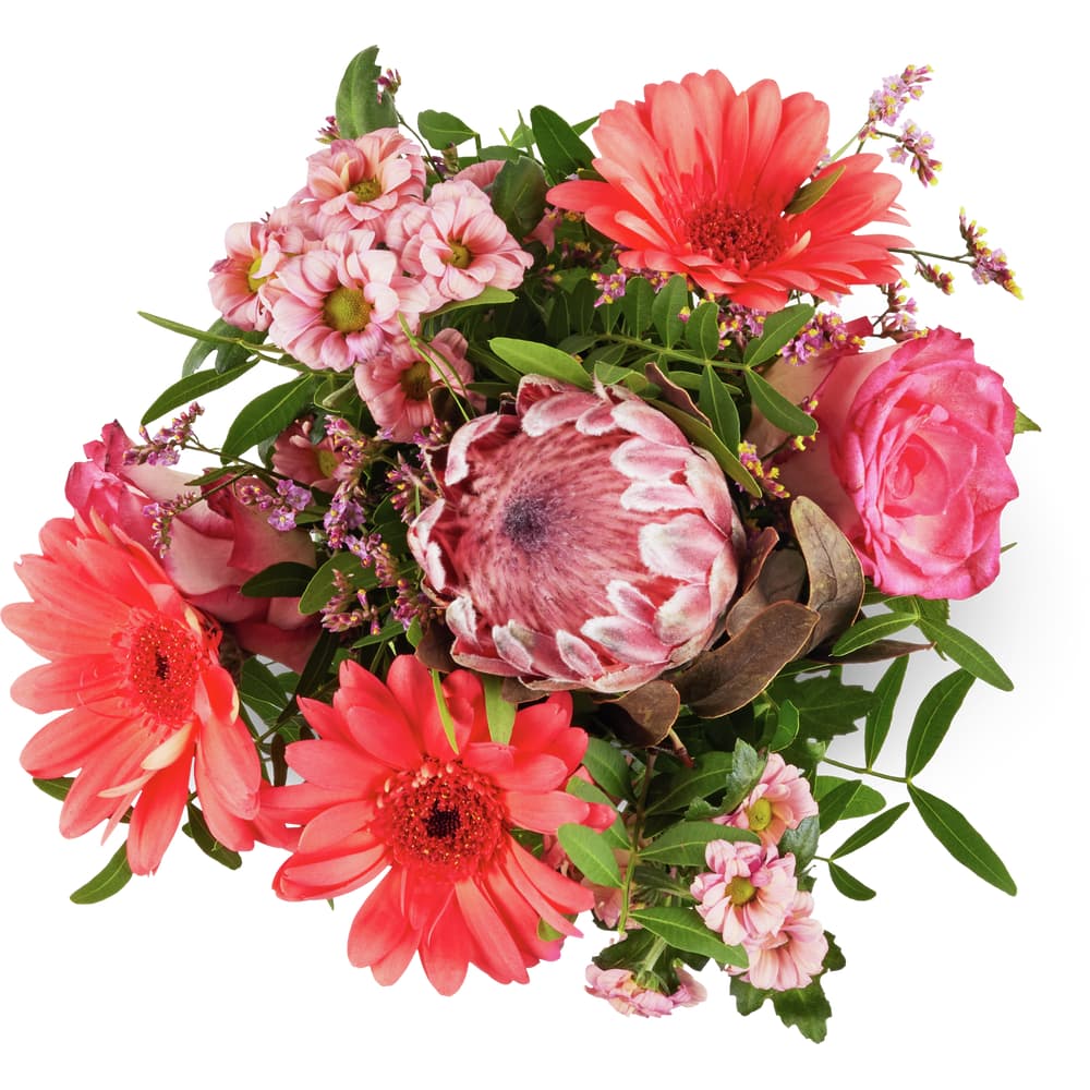 M-Classic · Proteastrauss • Migros