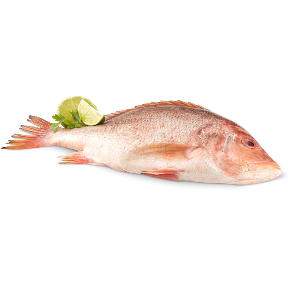 Snapper rosso • Migros