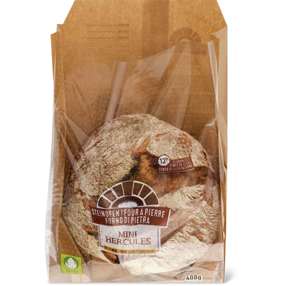 Four à pierre · Bio Steinofen Mini Hercules • Migros