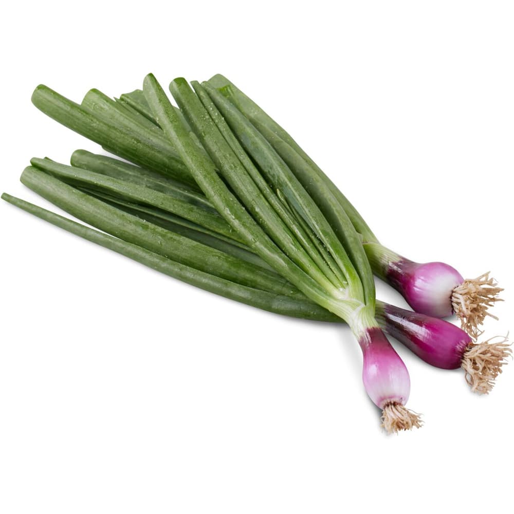 Oignons frais rouges • Migros