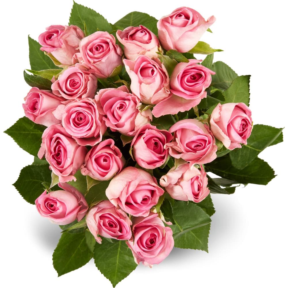 M-Classic Fairtrade · Mini roses · Rose-Pink • Migros