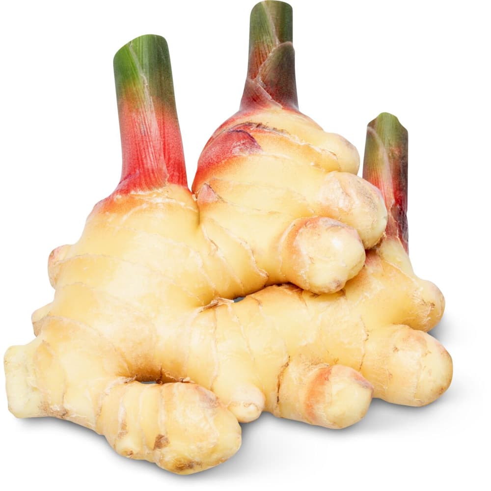 Migros Bio Ingwer frisch • Migros