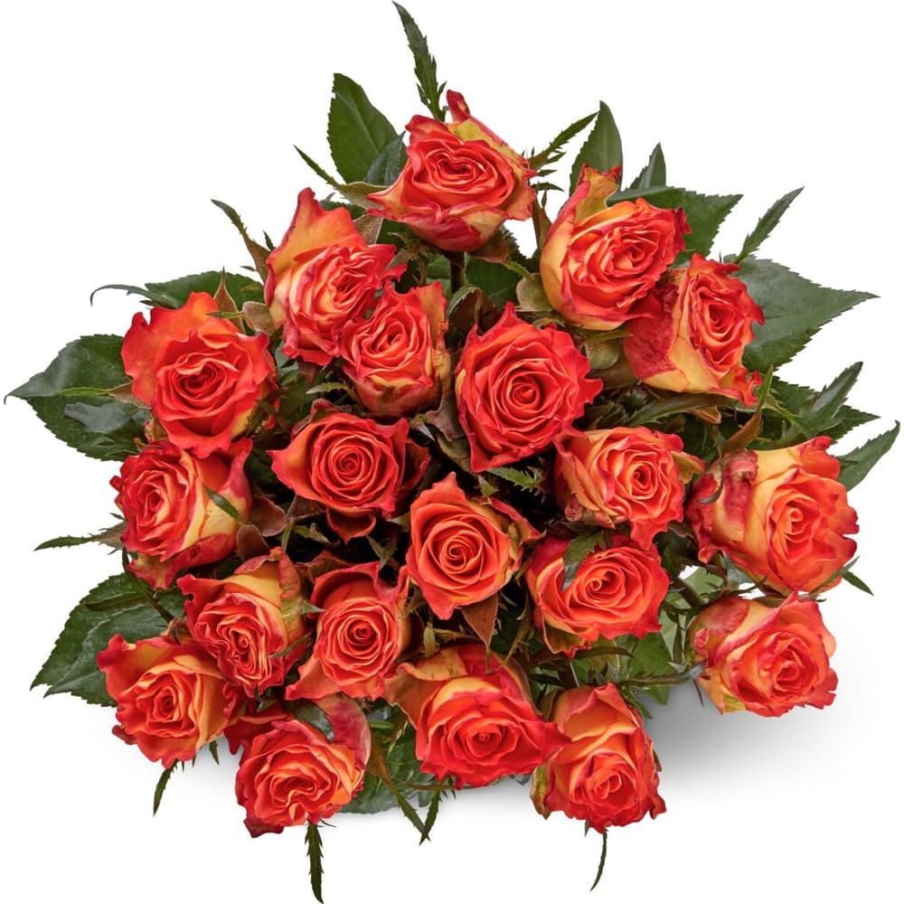 M-Classic Fairtrade · Mini roses · Rouges - Jaunes • Migros