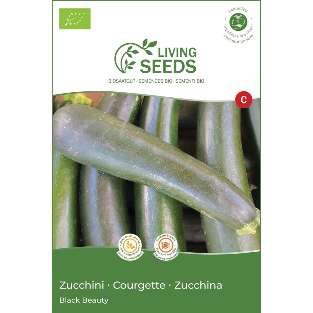 Zucchini Black Beauty • Migros