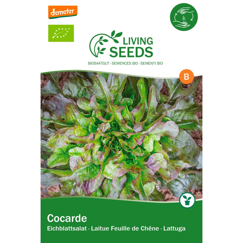 grüner Eichblatt Salat, Cocarde • Migros