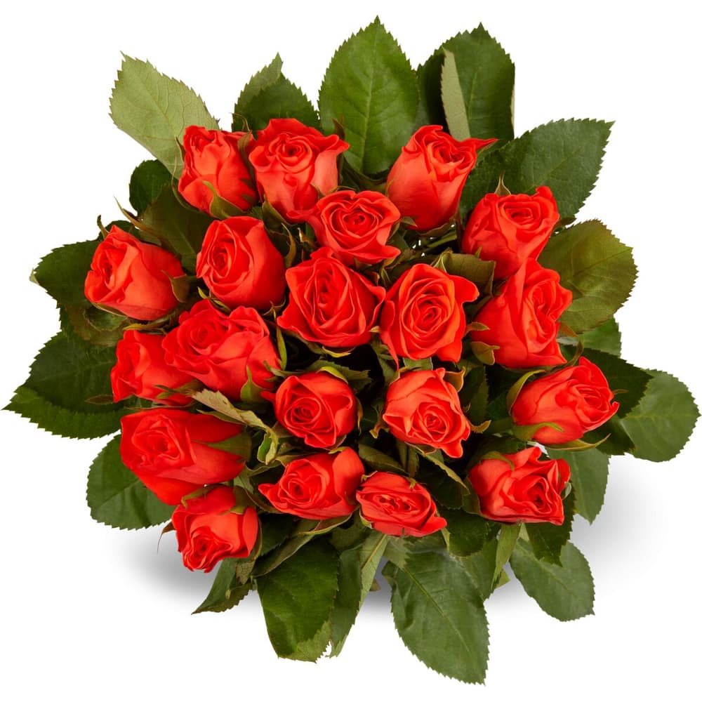 Buy M-Classic Fairtrade · mini-roses · Orange • Migros