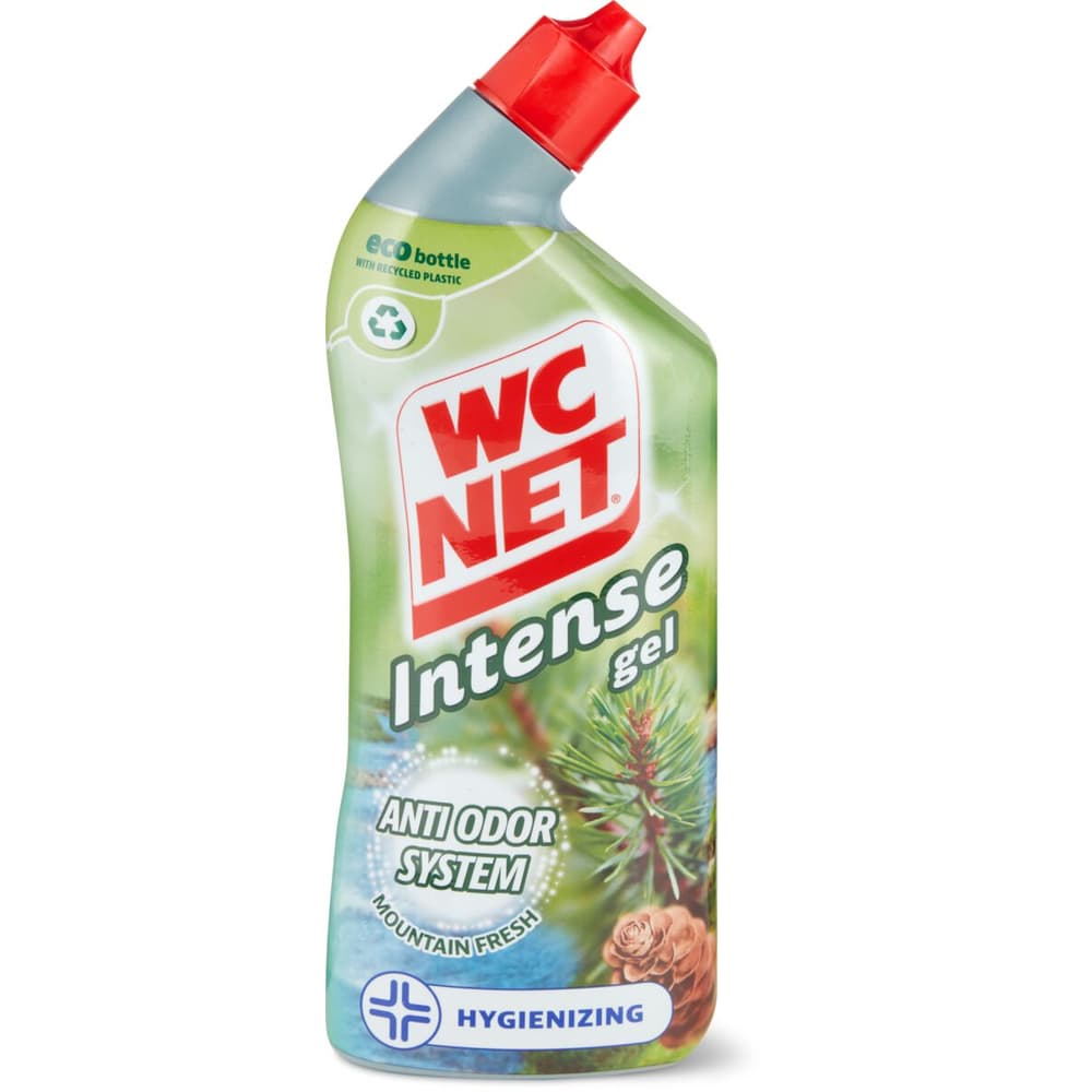 WC Net Intense Gel Mountain Fresh • Migros