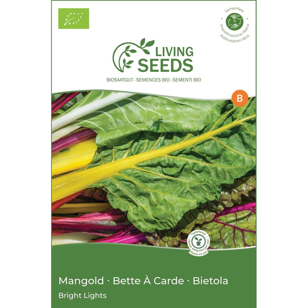 Mangold • Migros Online