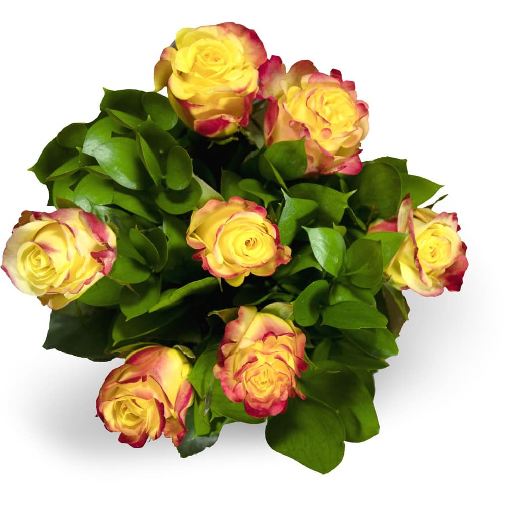 Bouquet melange • Migros