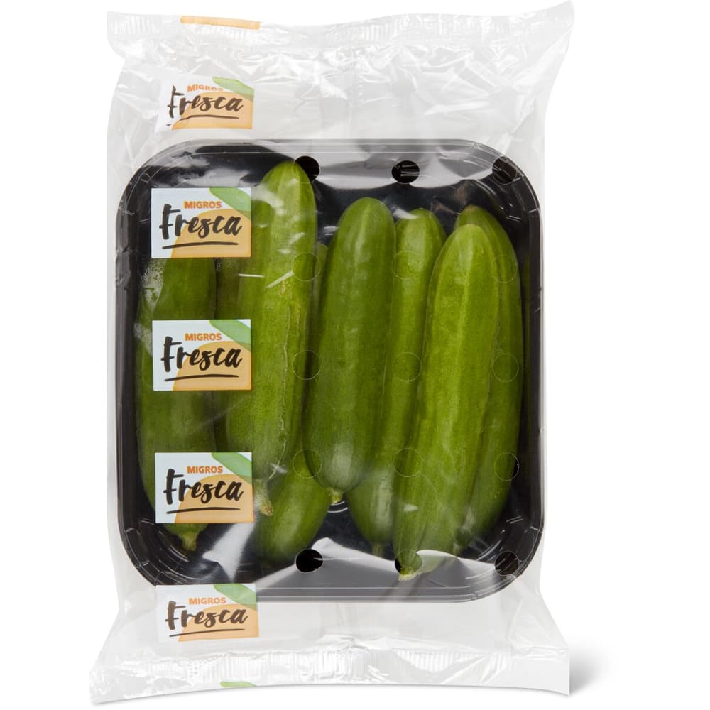 Achat Fresca · Concombre · Snack • Migros