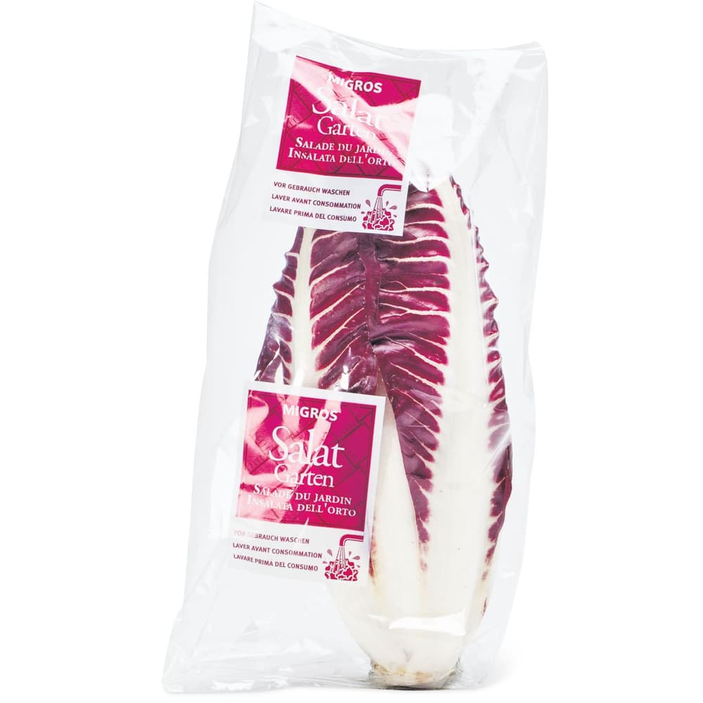 Cicorino rosso Trevisano • Migros