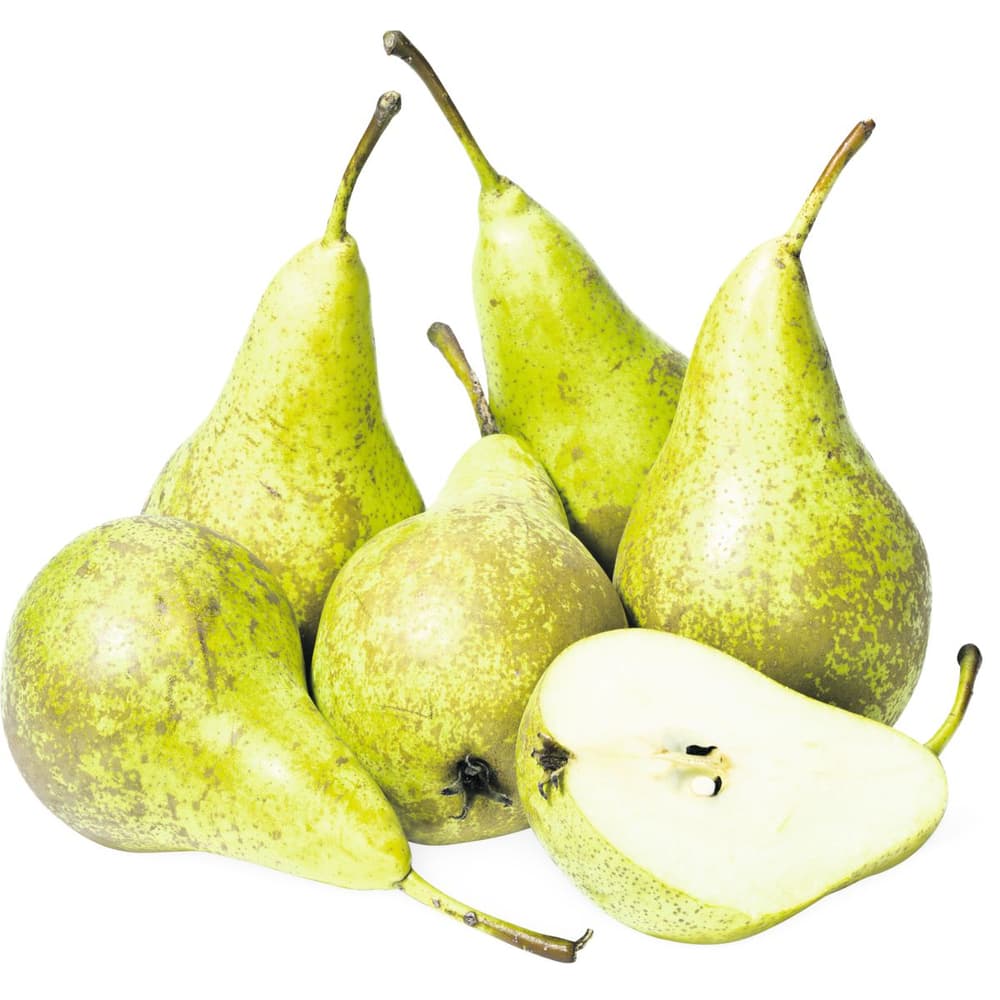 Pere Conference • Migros