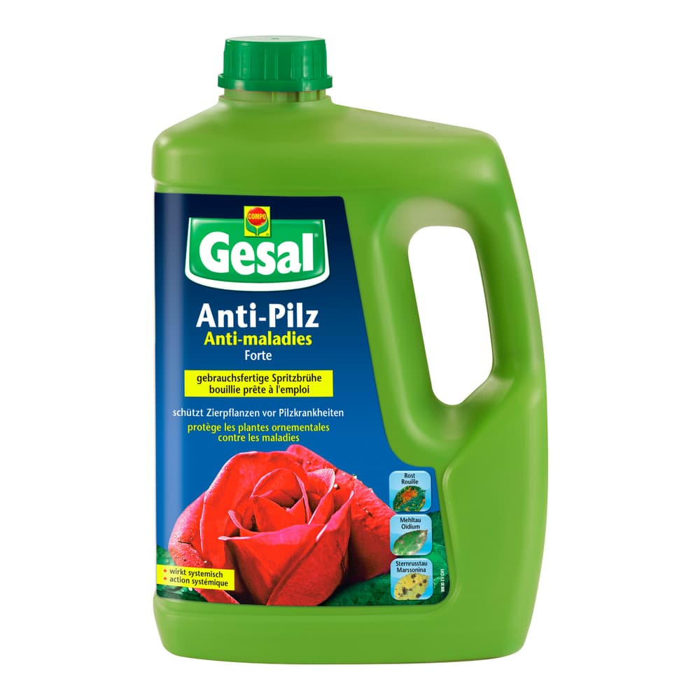 GESAL ANTI-PILZ FORTE 2.5 L • Migros