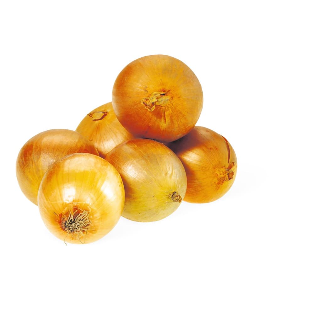 Oignons • Migros