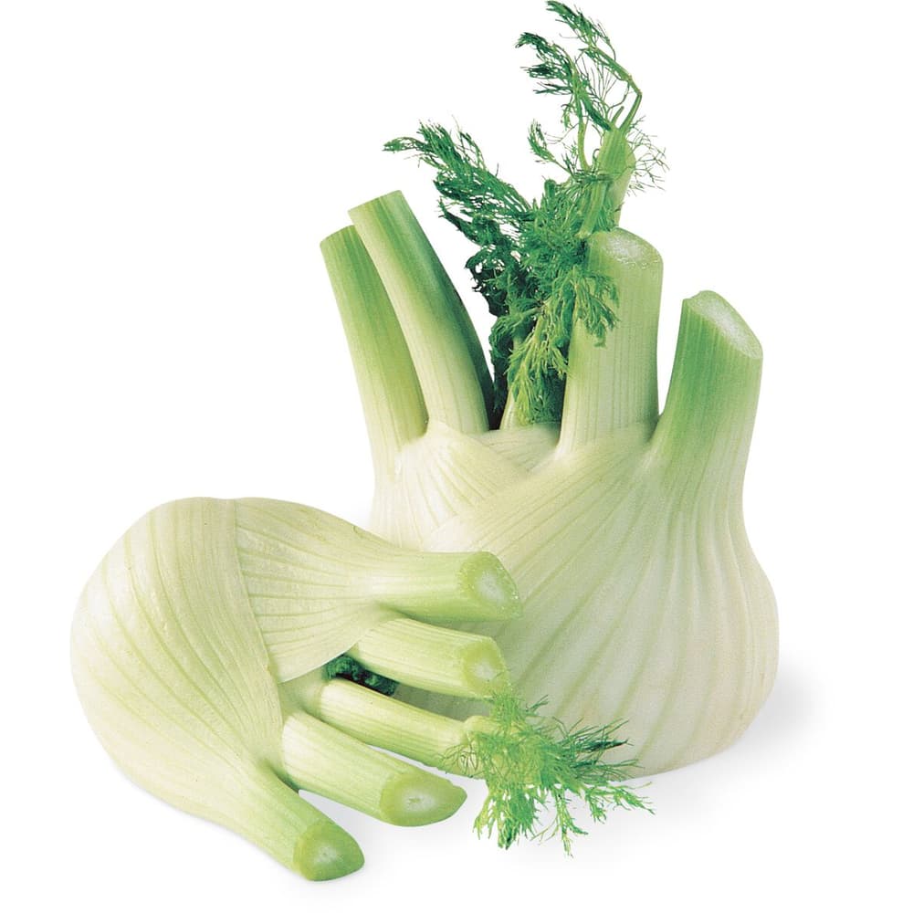 Finocchio • Migros