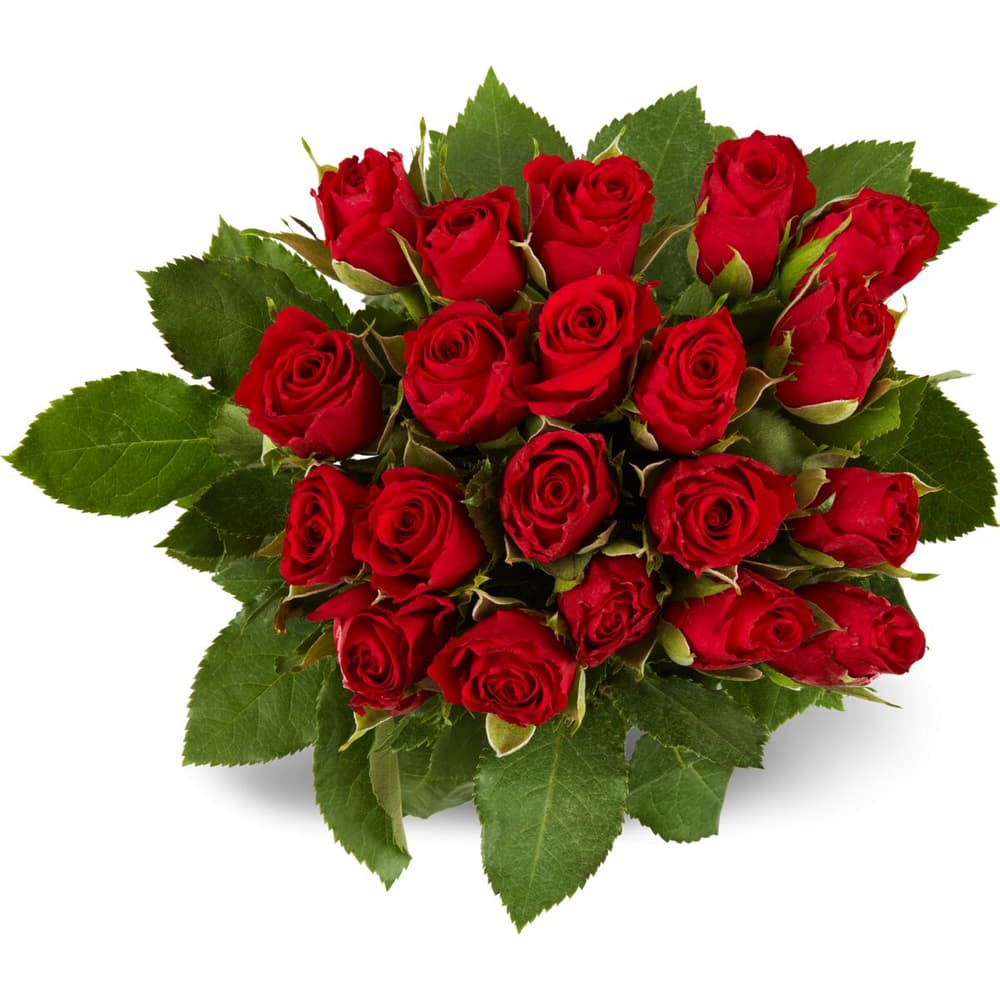 M-Classic Fairtrade · mini-roses · red • Migros