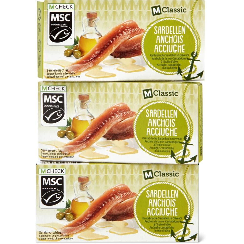 M-Classic MSC Sardellen Kantabrische Sardellen in Olivenöl • Migros