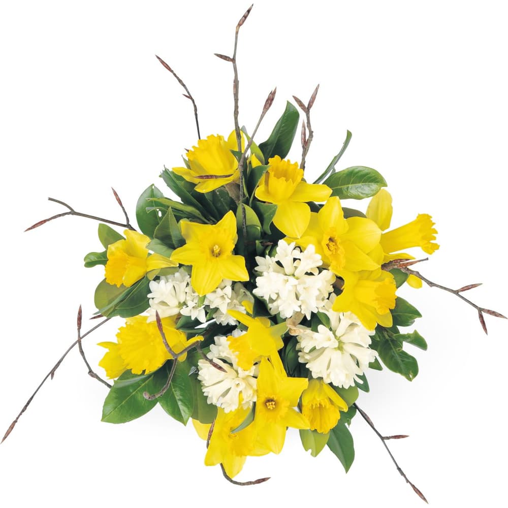 Strauss Surprise Picolo • Migros Online