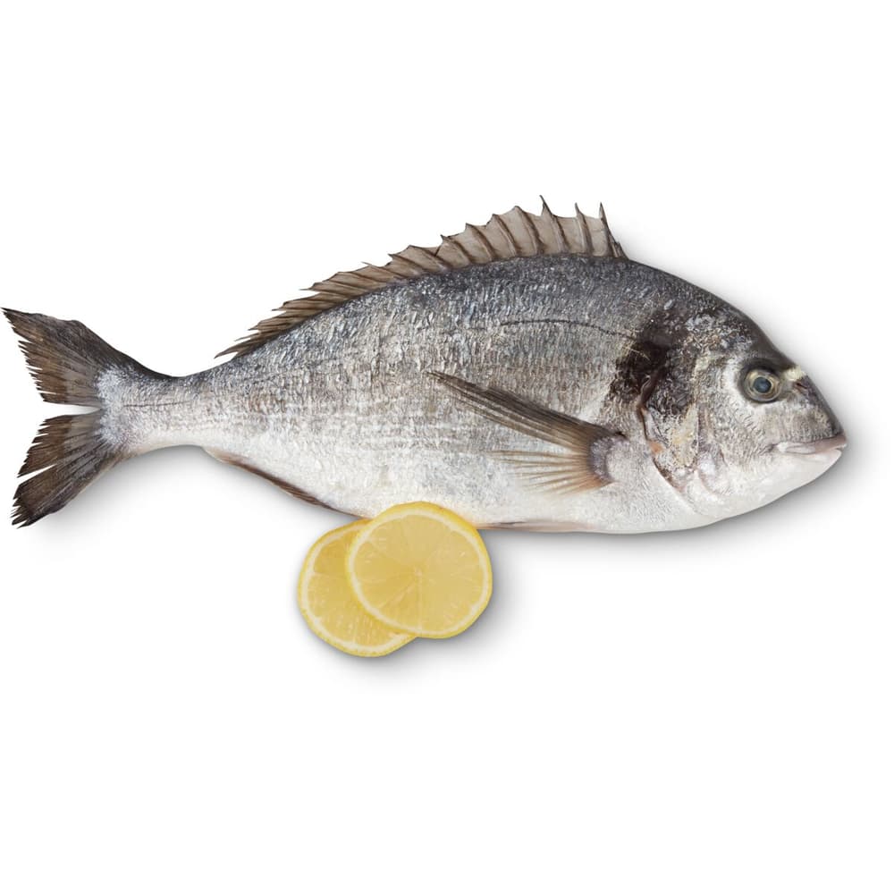 ASC Dorade royale • Migros