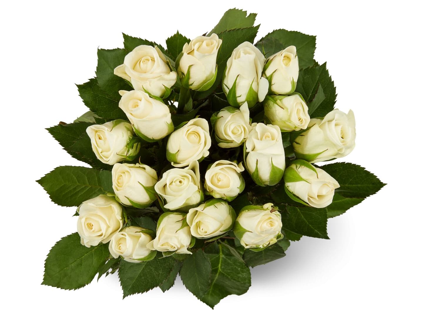 M-Classic · Mini roses · Blanches • Migros