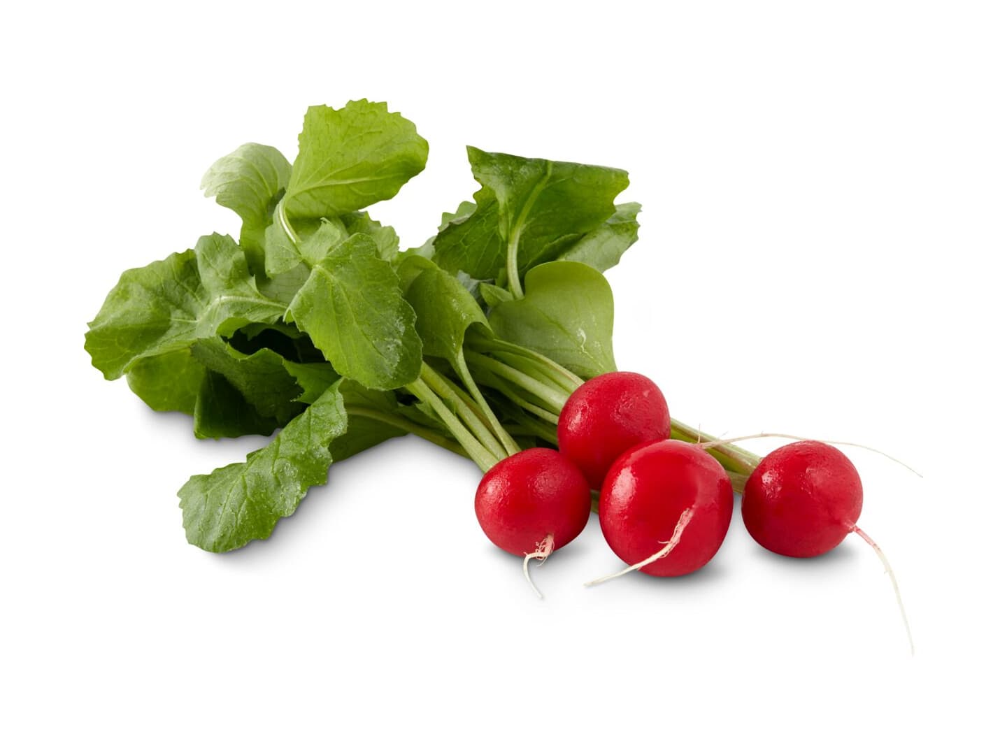 Kaufen Fresca · Radieschen · Bund • Migros