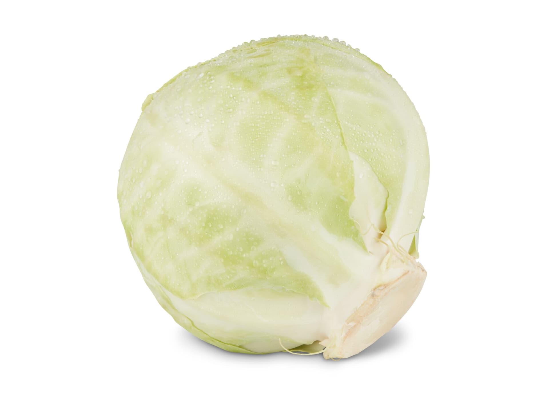 Kaufen Bio Weisskabis • Migros