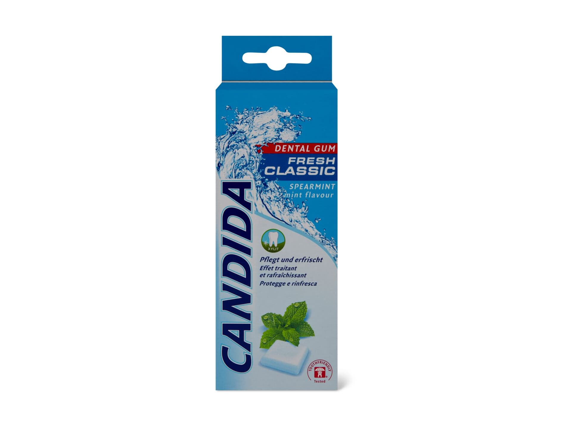 Kaufen Candida Fresh classic · Zuckerfreier Kaugummi · Spearmint • Migros