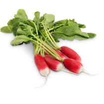 Migros Fresca · Radieschen · Bund • Migros