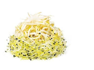 Kaufen Bio · Sprossen · Mix • Migros