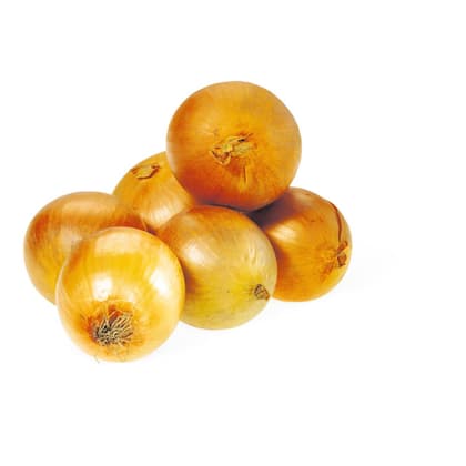 Achat Oignons · en botte • Migros