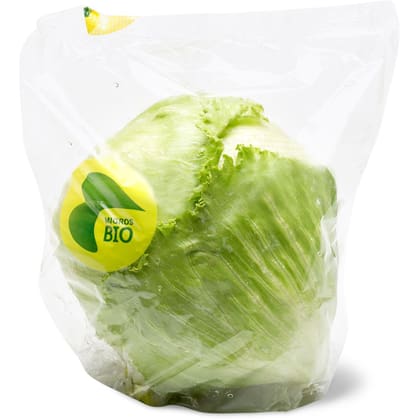 Kaufen Lattich · mini • Migros