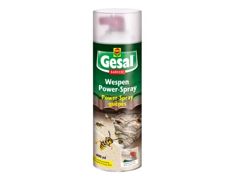 Buy GESAL WESPEN POWER SPRAY • Migros