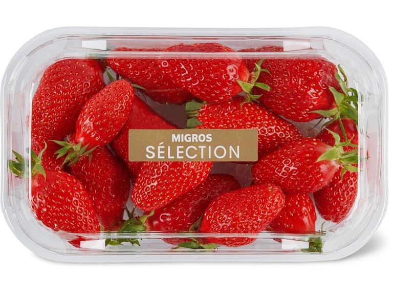 Achat Sélection · Fraises • Migros