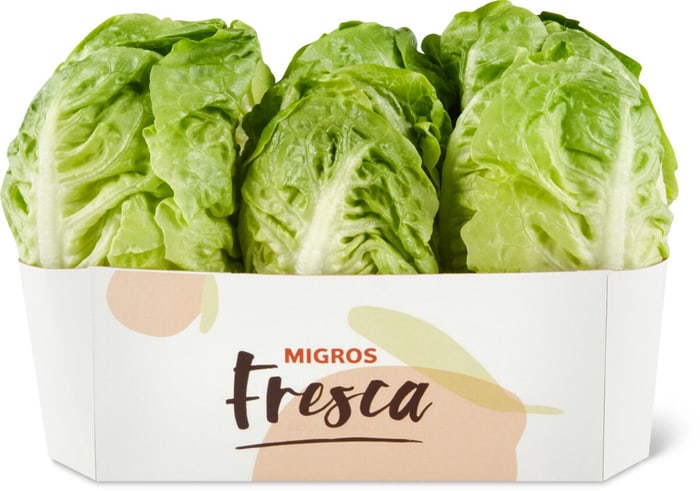 Produktkauf Salate • Migros