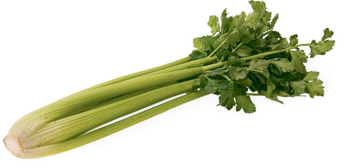 Produktkauf Sellerie & Randen • Migros