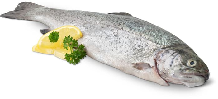 Fresh fish & shellfish • Migros