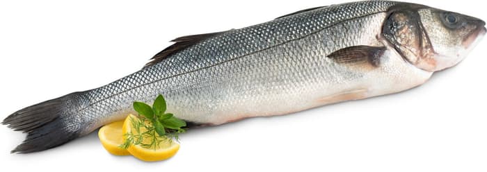 Fresh fish & shellfish • Migros